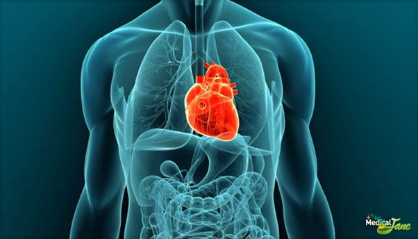 Marijuana Side Effects: What You Need to Know - cbdication